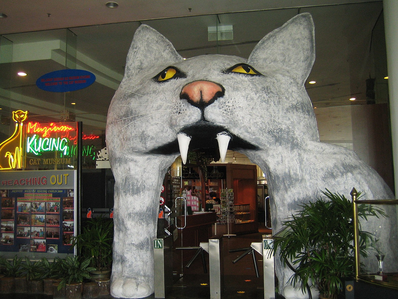 Top 10 Cat Museums Around the World: Where Cats Are Truly Celebrated